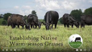 Native Grass College | Center for Native Grasslands Management