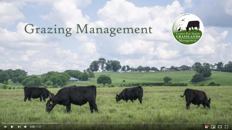 Native Grass College | Center for Native Grasslands Management