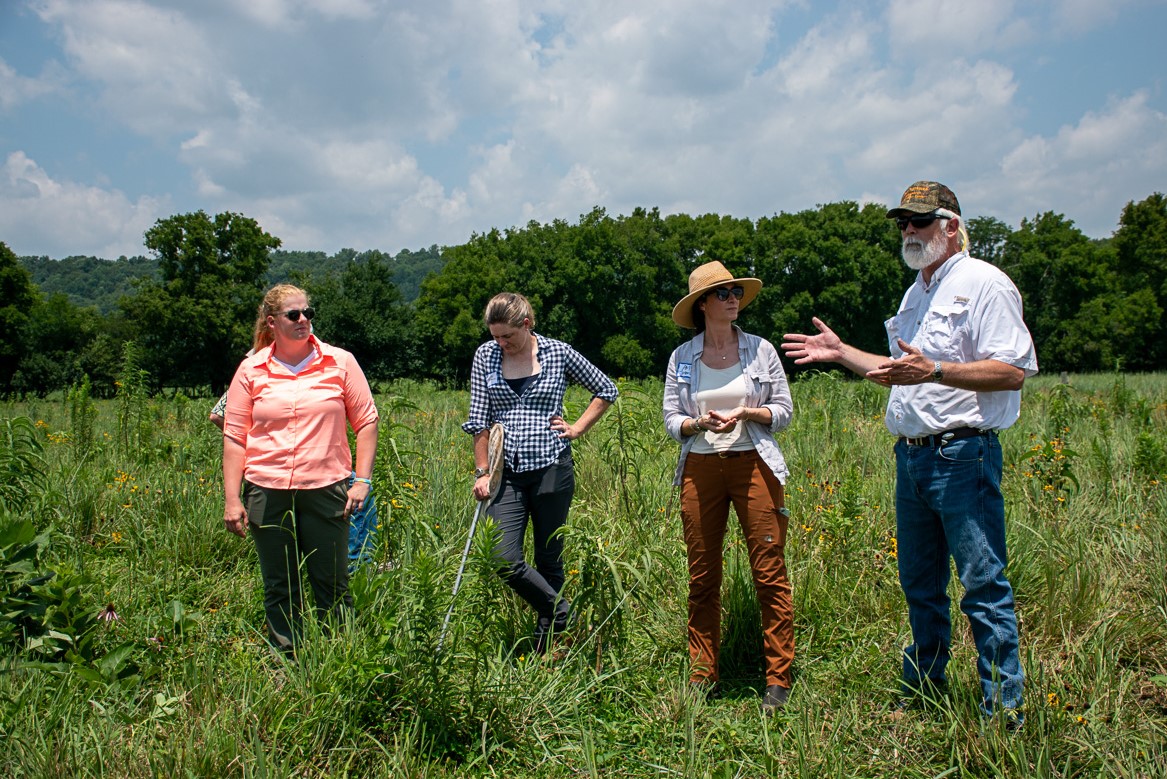 Creating diverse native grass pastures to benefit cattle, pollinators ...